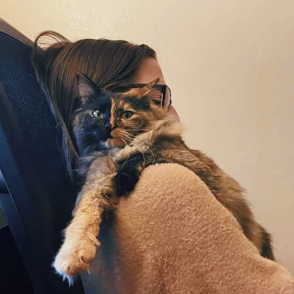 Lindsay Kislingbury | Lindsay Kislingbury's Portfolio